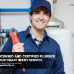 How To Unclog Your Shower Drain And Toilet