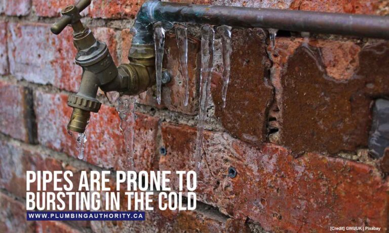 6 Tips to Get Your Plumbing Ready for Autumn - Plumbing Authority Inc.