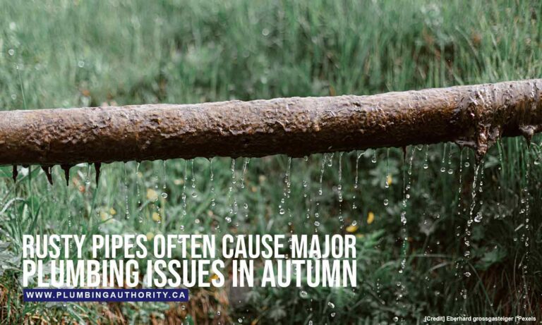 6 Tips to Get Your Plumbing Ready for Autumn - Plumbing Authority Inc.