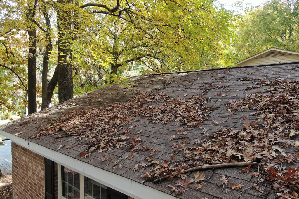 Vent Stack Problems: A Homeowner's Guide to Identifying and Solving ...